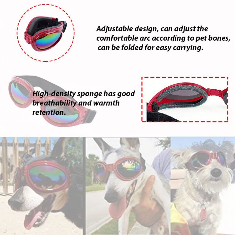 Dinky Dog Goggles | Dog Sunglasses | Dog Goggles