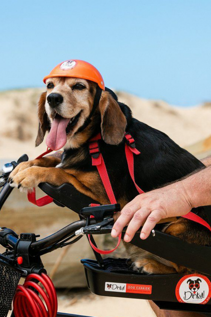 Gallery - Dinky Dog Products